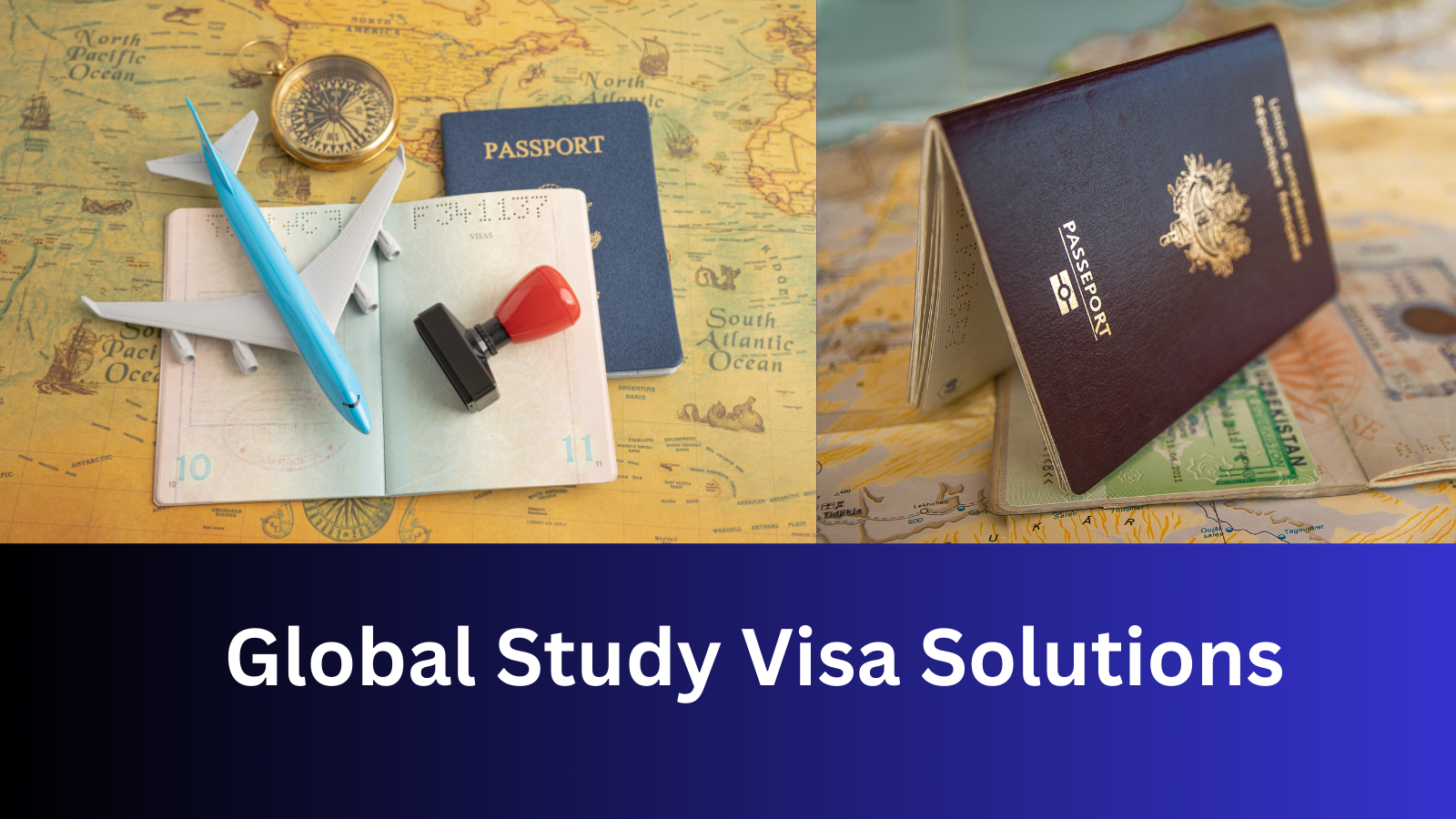 Best Global Study Visa Solutions for Success Abroad - Visa Point
